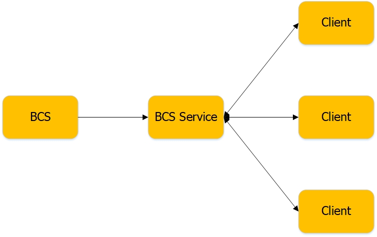 Documentation BCS Service